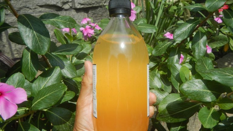 Do Flies Bite? Understanding Biting Flies and How to Protect Your Home ...