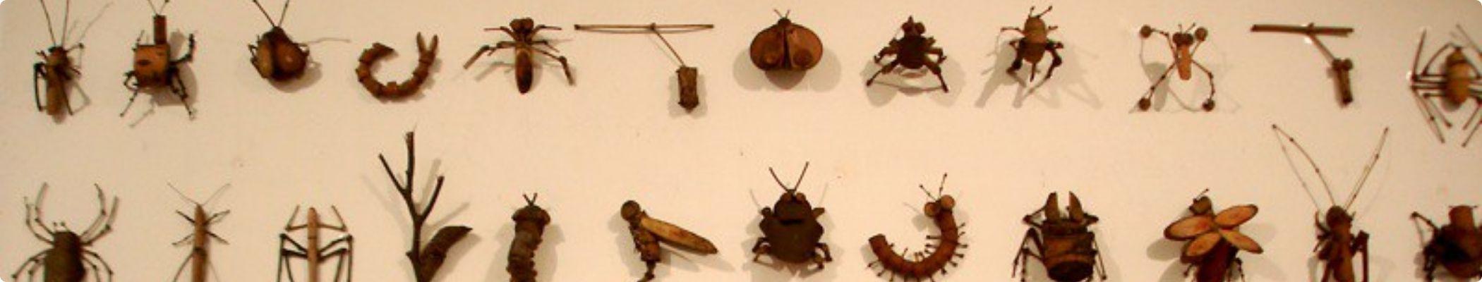 Identifying Common Stinging Insects Around Your Home | A Guide